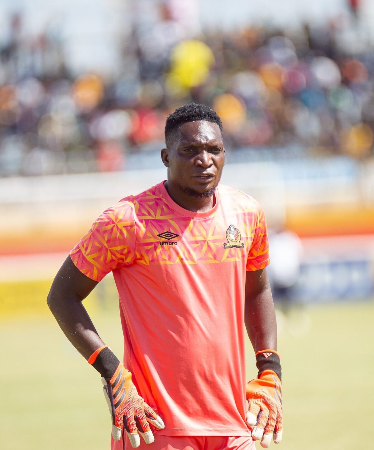 EXCLUSIVE: Power Dynamos goalkeeper Willard Mwanza reacts to national team call-up - Bolanews